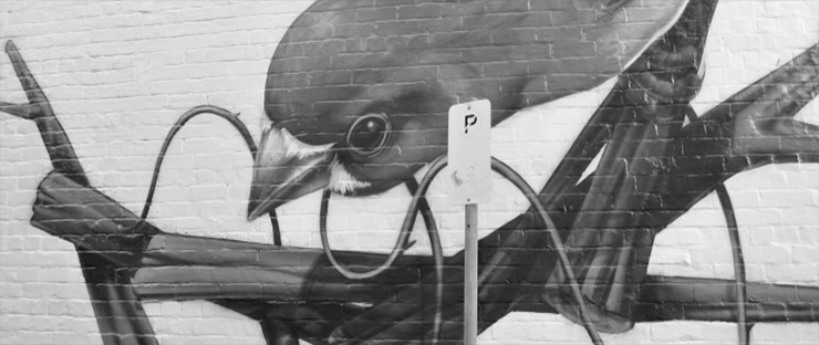 Home - Inner West Council