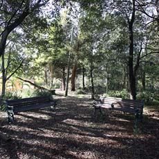 Cadigal Reserve - Summer Hill - Inner West Council