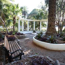 Petersham Park - Petersham - Inner West Council