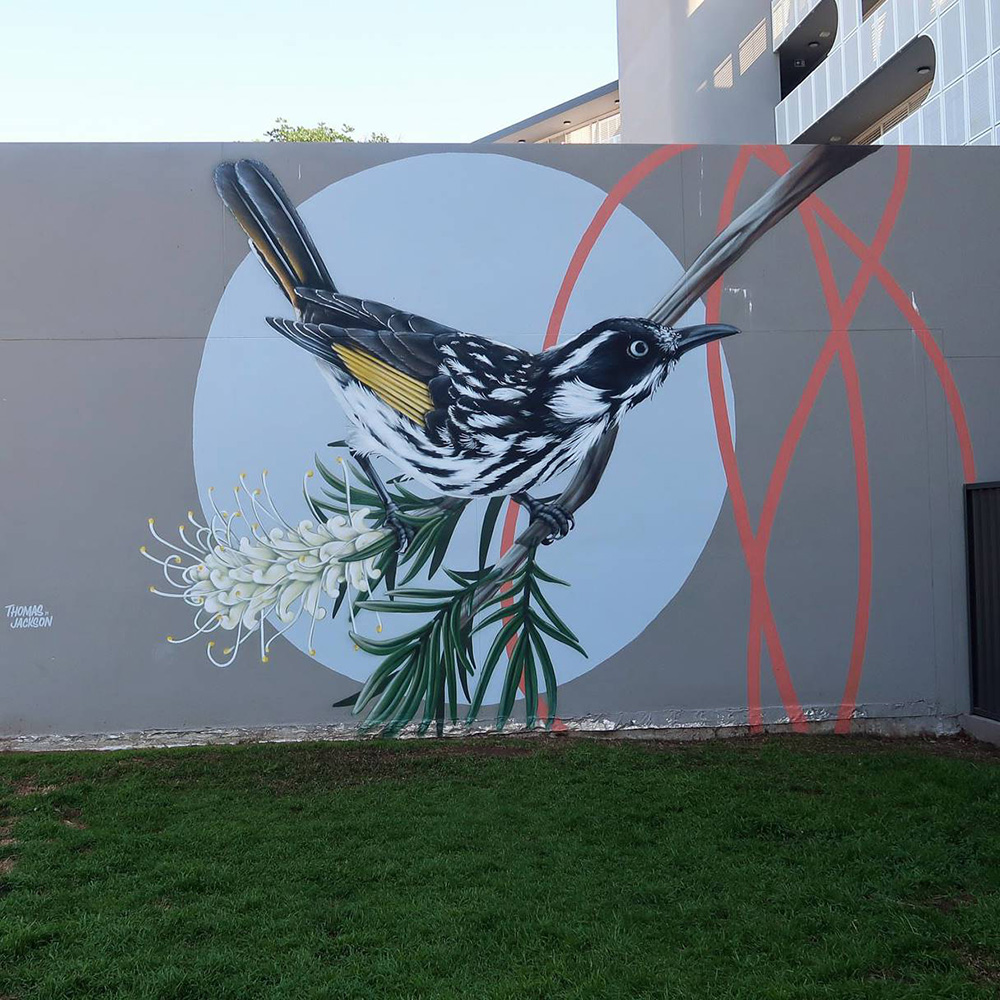 Perfect Match Street Art - Inner West Council