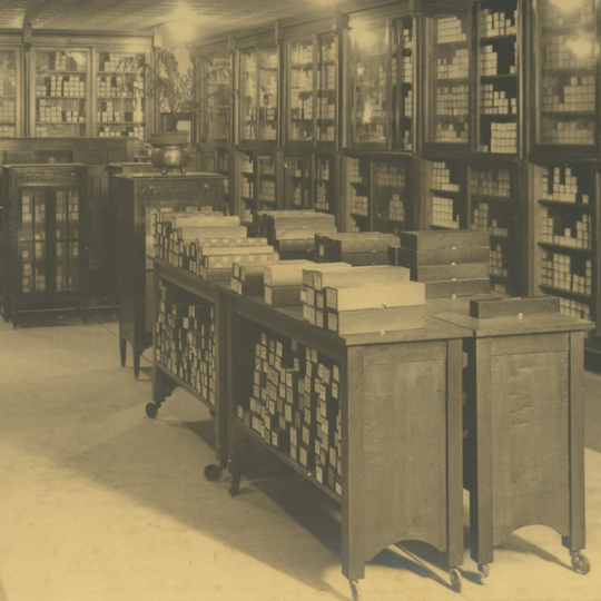 Community collections - Inner West Council